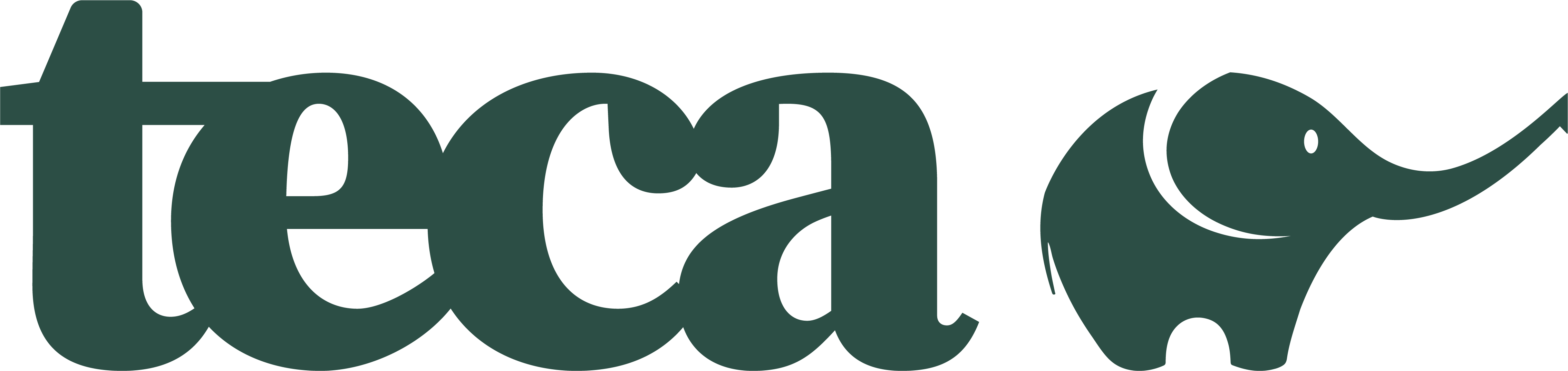 Seguro para vehiculo | Teca Seguros